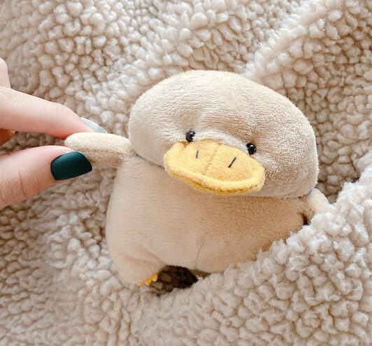 Duck AirPod Case - Setupedia Store